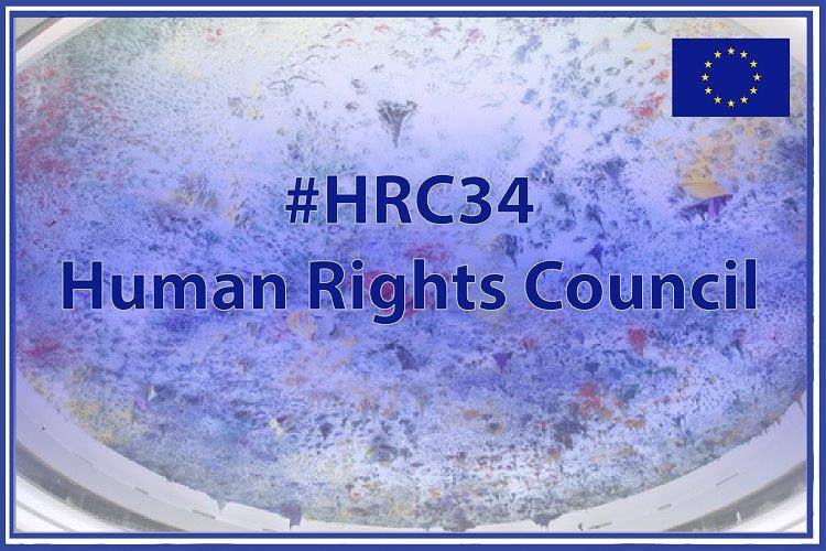 Outcomes of the 34th session of the Human Rights Council from the ...