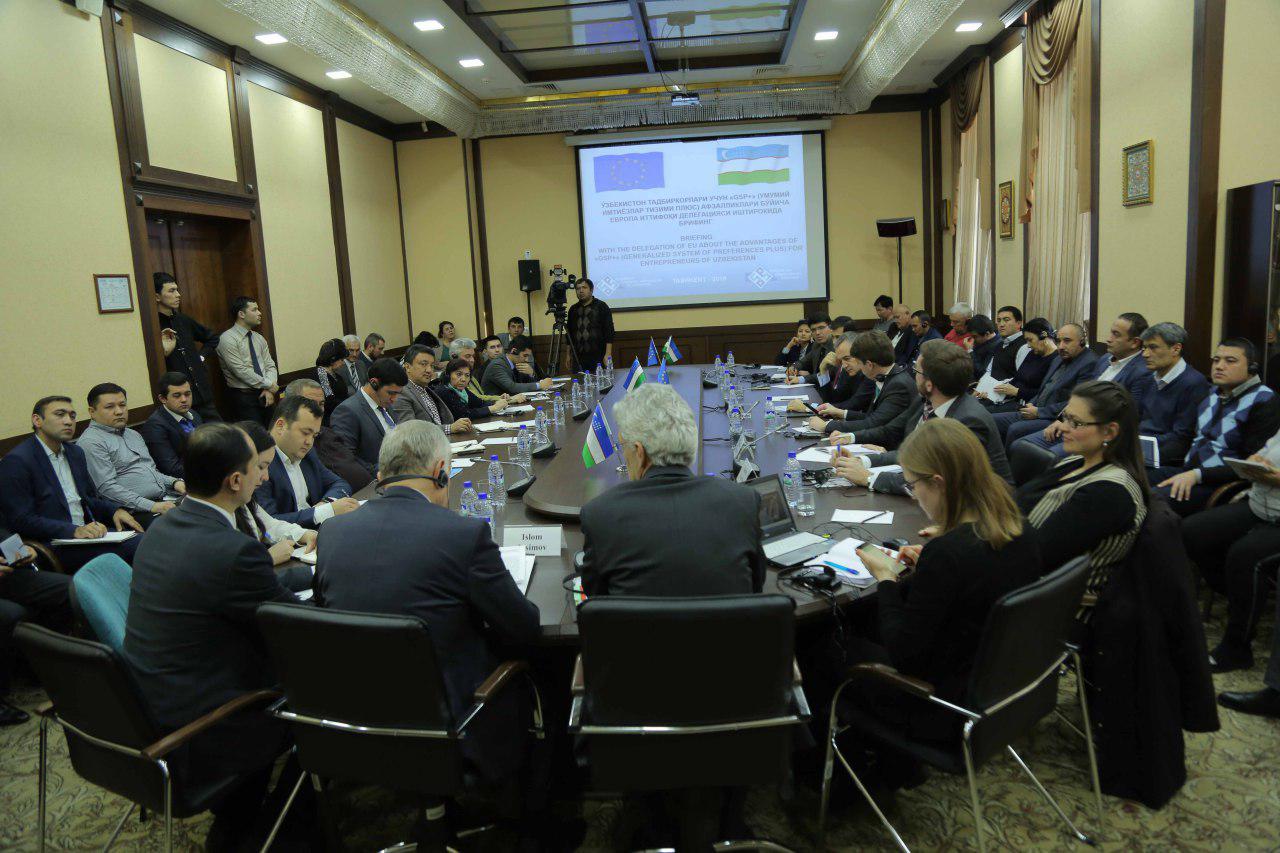 Obtaining the beneficiary status of the European Union's GSP + system ...