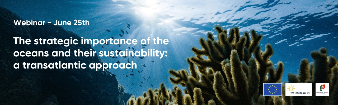 The strategic importance of the oceans and their sustainability: a ...